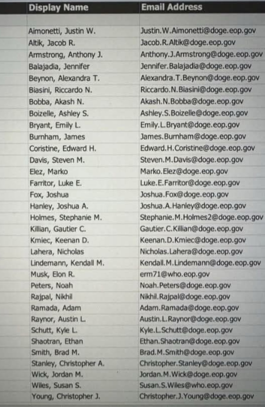 How to Email DOGE Employees and Make It Count - Resistance Kitty